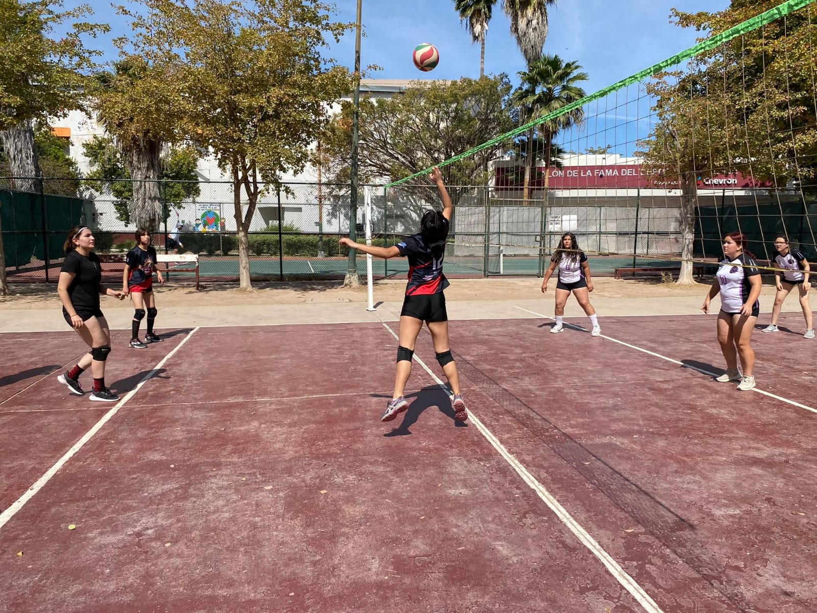 Cobaes 02 se ubica en la cima del Voleibol Estudiantil Mujer Sinaloense ...